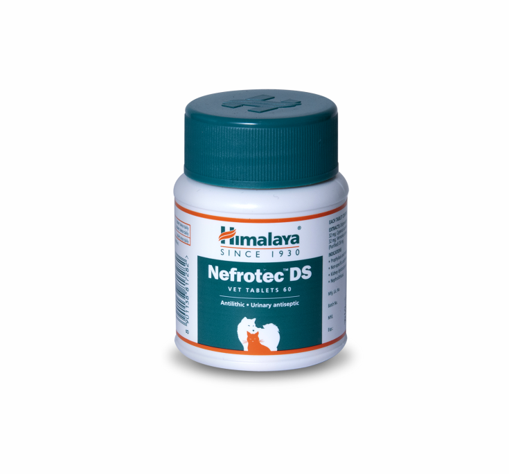 NEFROTEC DS VET TABLET 60S – Paw Meds