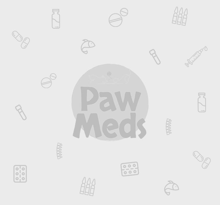 SEMOLYTE BOX OF 20 SACHETS – Paw Meds